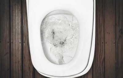 Toilets 101 - Toiletology