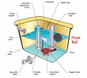 What is a Toilet Float Ball and what does it do? - Toiletology