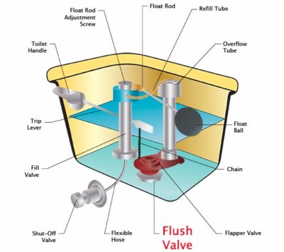 Toilet Flush Valve: What is it and what does it do? - Toiletology